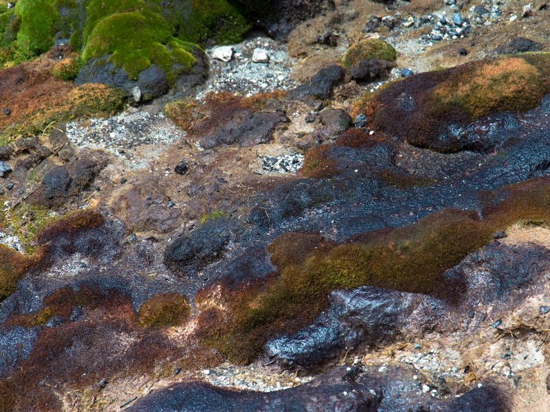 Fire, ice, earth, water 1 | Smithsonian Photo Contest | Smithsonian ...