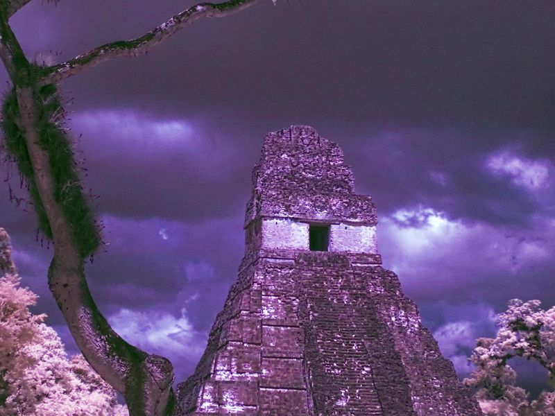 A famous maya archaeological structure (Gran Jaguar pyramid) seen ...