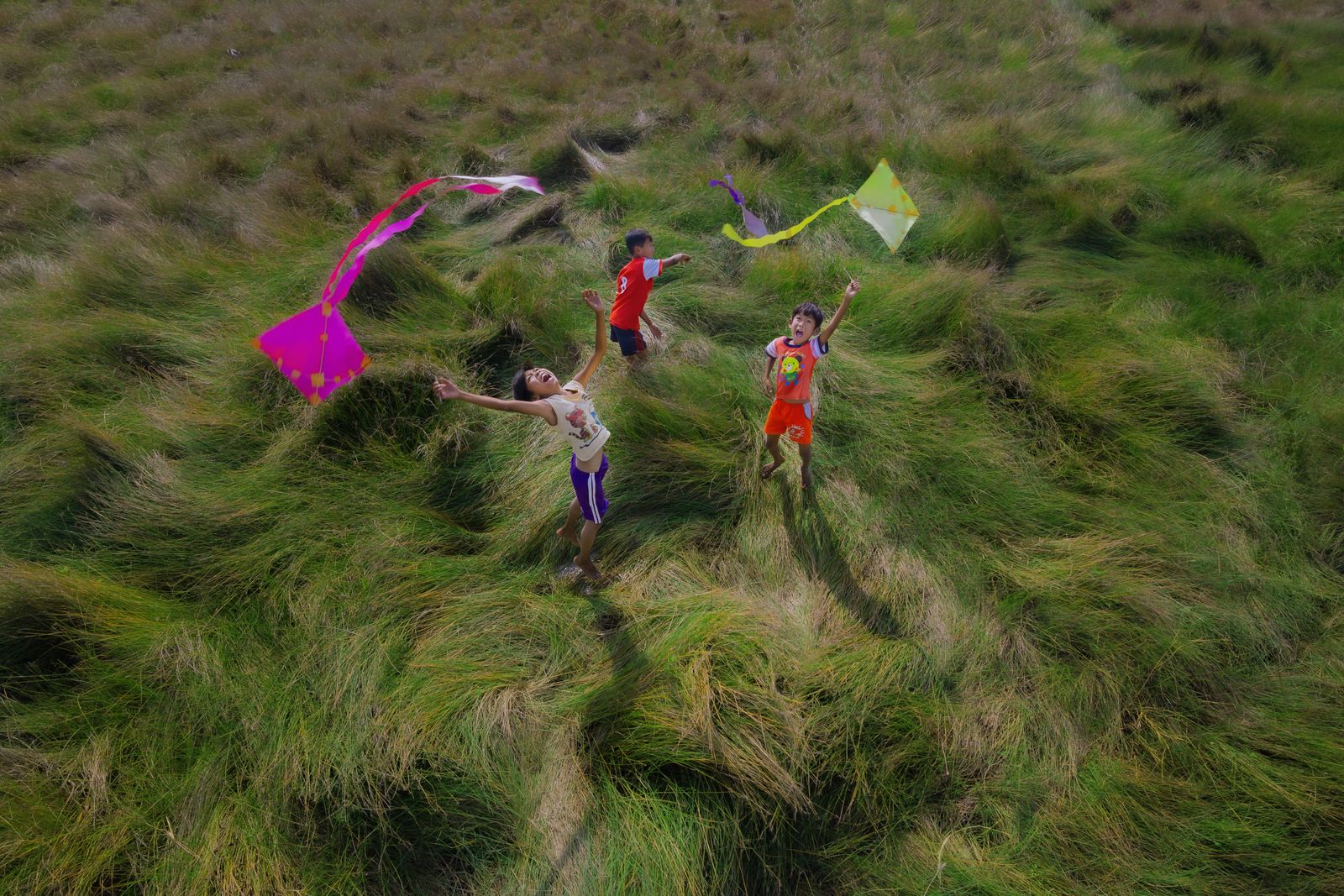 Take Flight in the New Year With These 15 Photographs of Beautiful Kites
