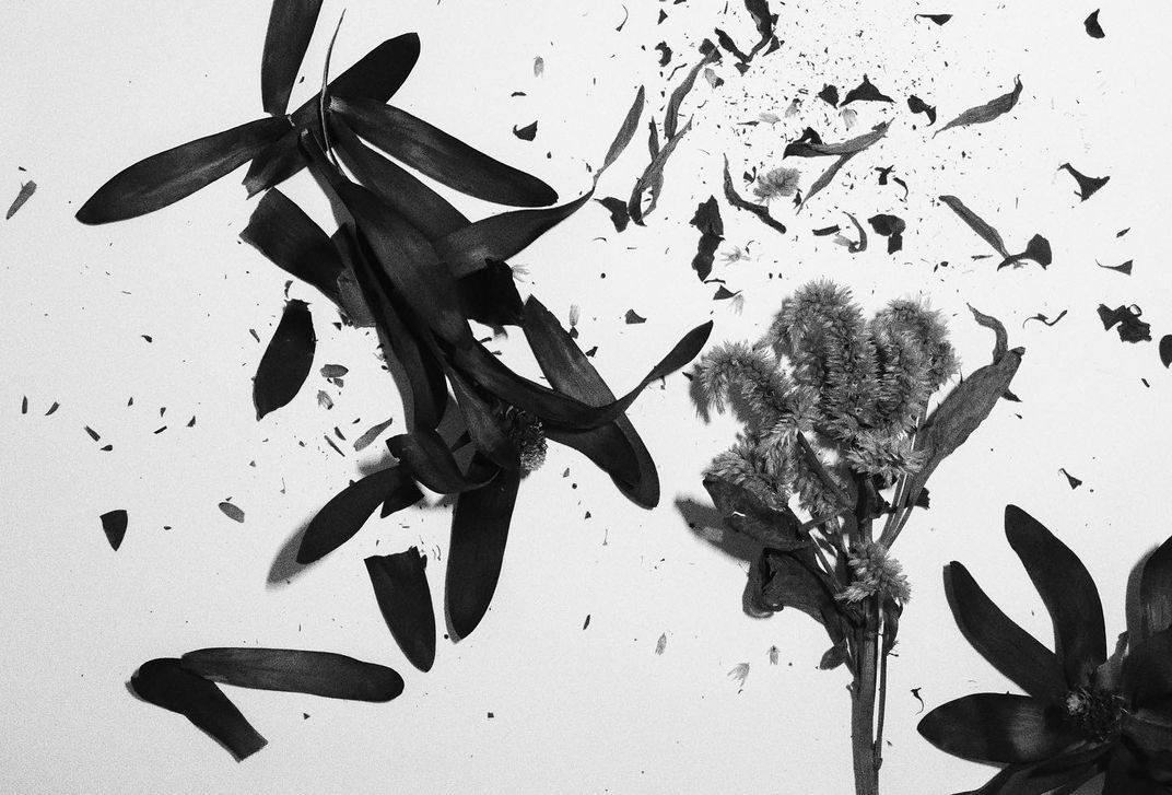 The day the atom bomb dropped | Smithsonian Photo Contest | Smithsonian ...