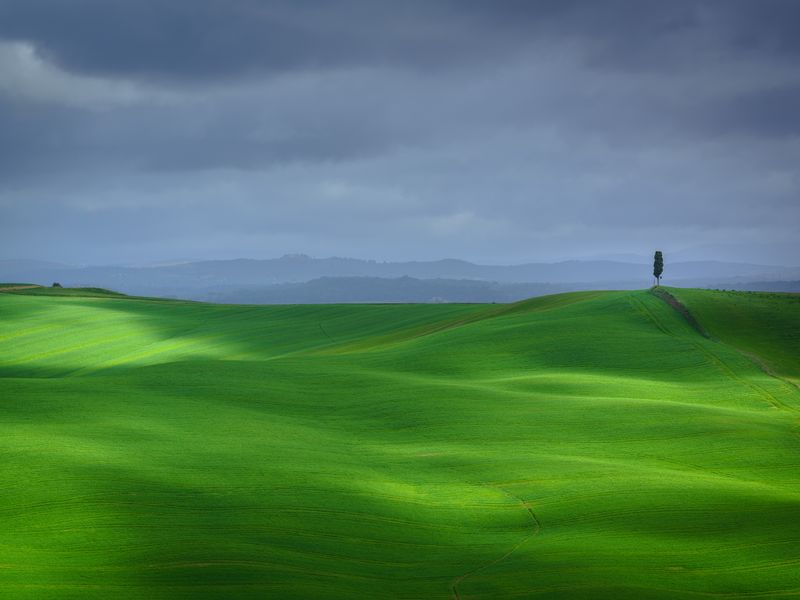 Smaragdine | Smithsonian Photo Contest | Smithsonian Magazine