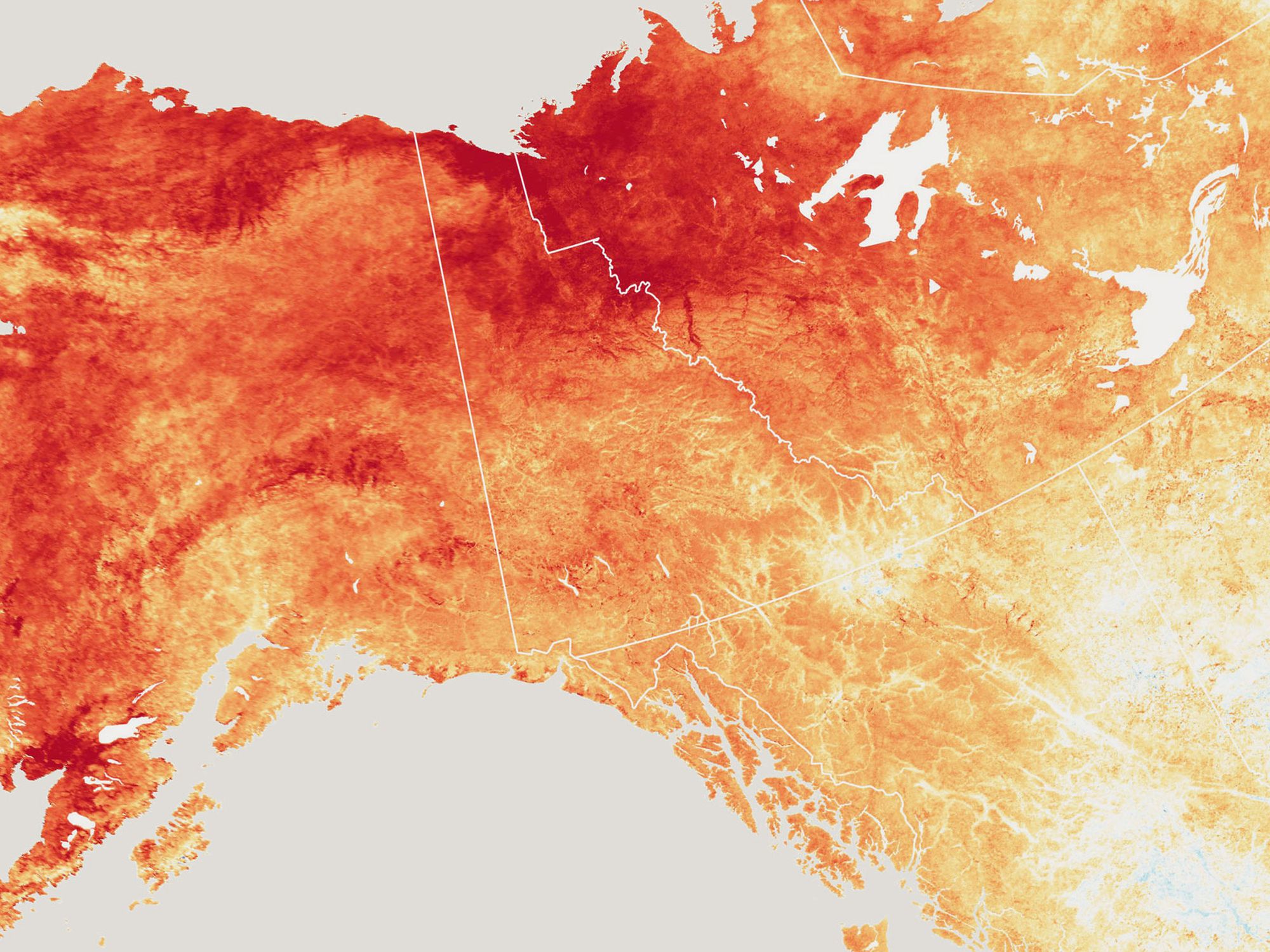 Record-Breaking Heat in Alaska Wreaks Havoc on Communities and Ecosystems