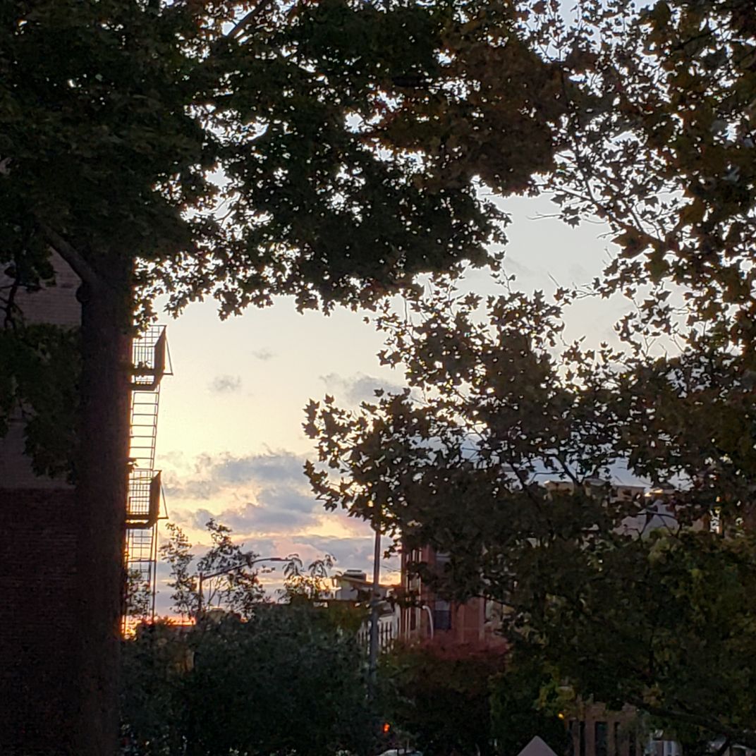 My Brooklyn Fall Sunsetting seen from My BedStuyStoop. | Smithsonian ...