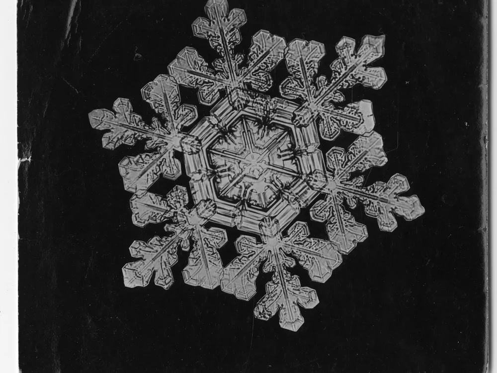 why is snowflake falling