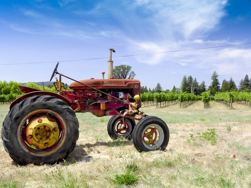 Tractor in wine country, CA | Smithsonian Photo Contest | Smithsonian ...