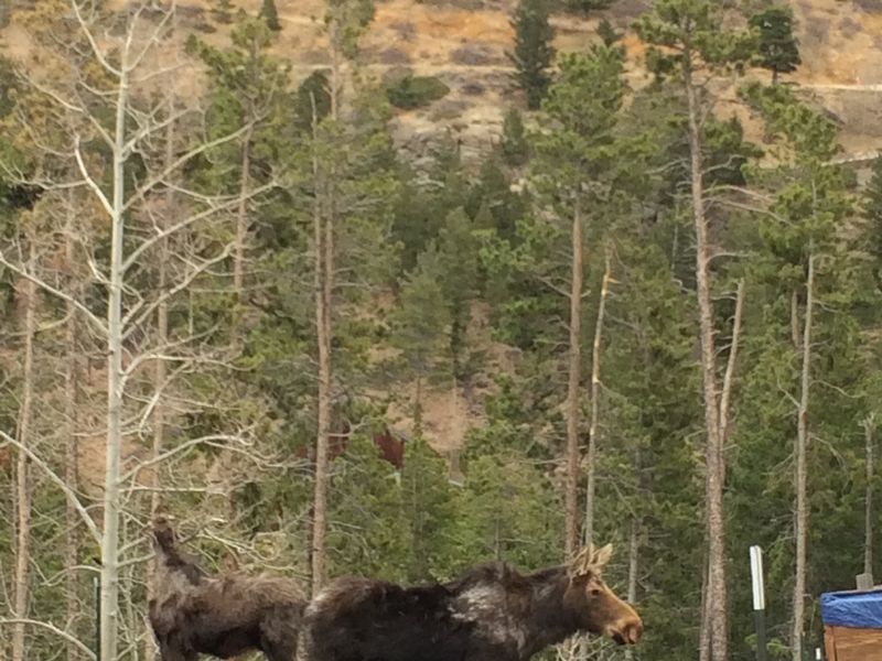 Sunset over Druce Lake, in Third Lake, IL | Smithsonian Photo Contest ...