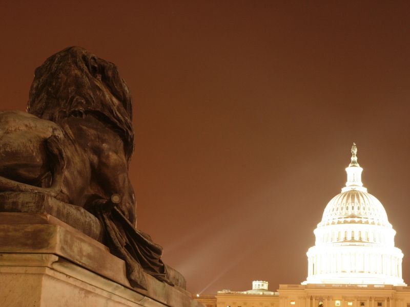 Lion guarding the U.S. Capitol Building | Smithsonian Photo Contest ...