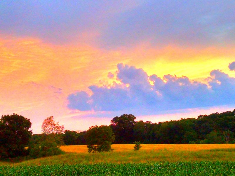 Mt sterling Illinois | Smithsonian Photo Contest | Smithsonian Magazine