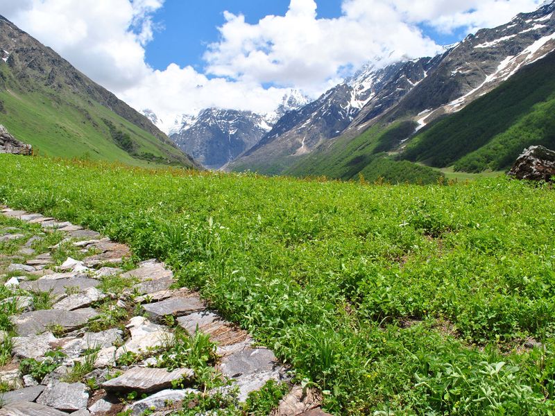 Valley of Flowers in Himalayas is a rare place that remains cut-off ...
