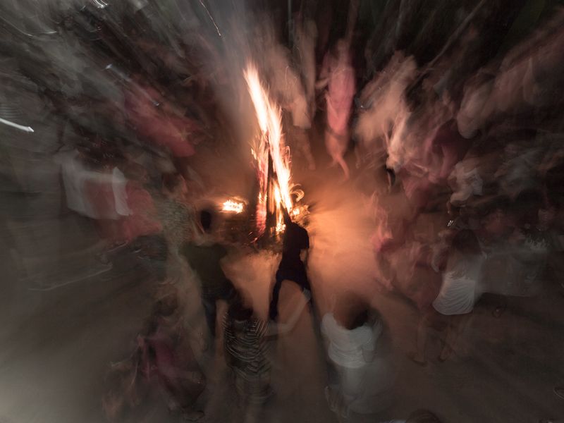 Wild celebration | Smithsonian Photo Contest | Smithsonian Magazine