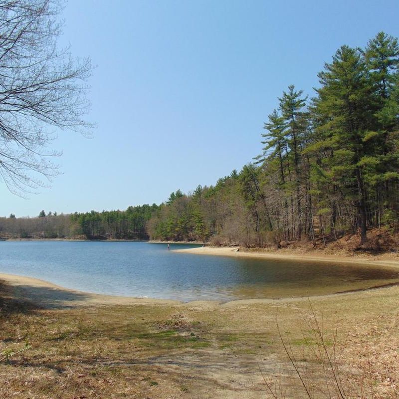 Walker Pond Ma
