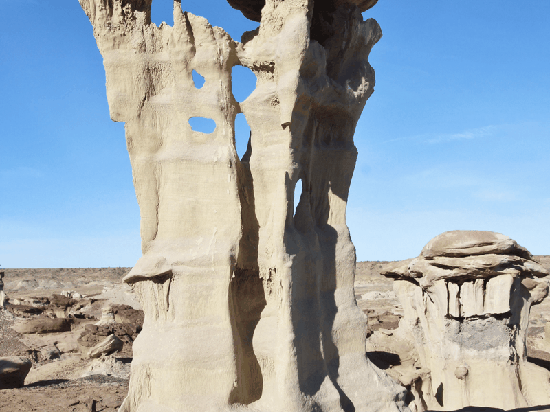 Alien Throne | Smithsonian Photo Contest | Smithsonian Magazine