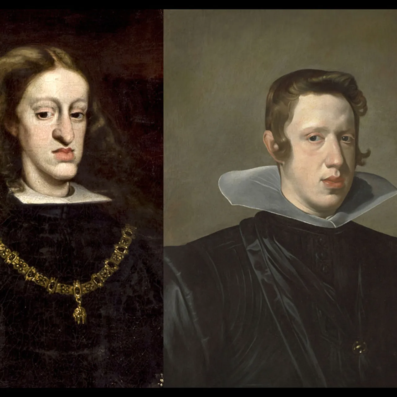 inbreeding bbc bitesize