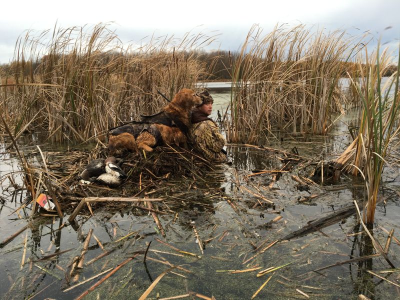 Duck Hunter with his dogs | Smithsonian Photo Contest | Smithsonian ...