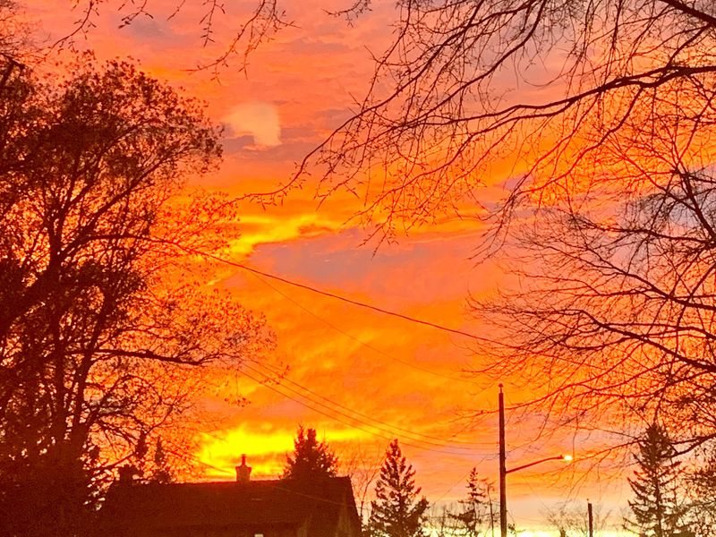 Neighborhood Sunset | Smithsonian Photo Contest | Smithsonian Magazine