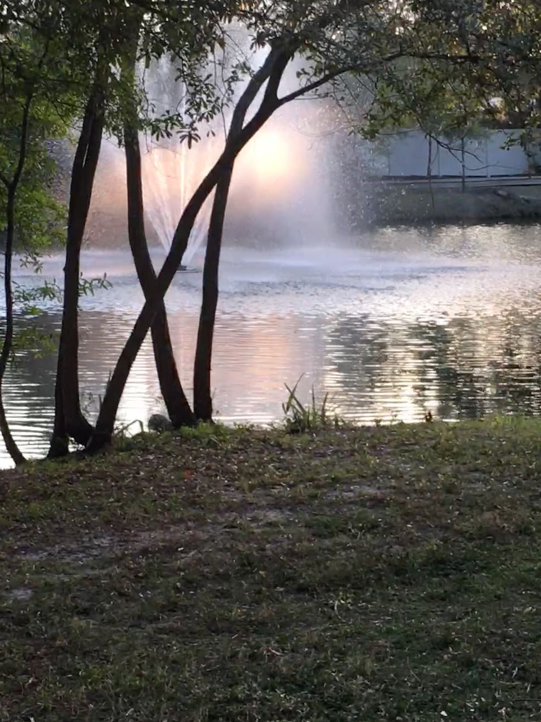 Sunlight on a fountain | Smithsonian Photo Contest | Smithsonian Magazine