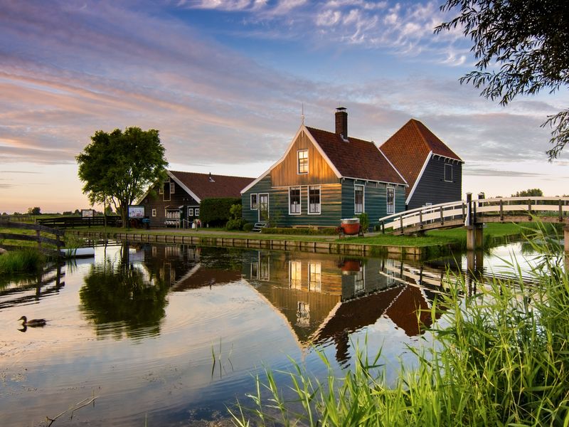 Dutch Beauty | Smithsonian Photo Contest | Smithsonian Magazine