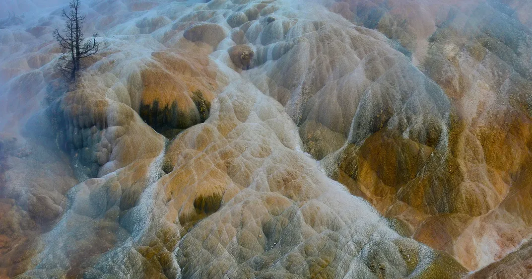 Yellowstone Terrace | Smithsonian Photo Contest | Smithsonian Magazine