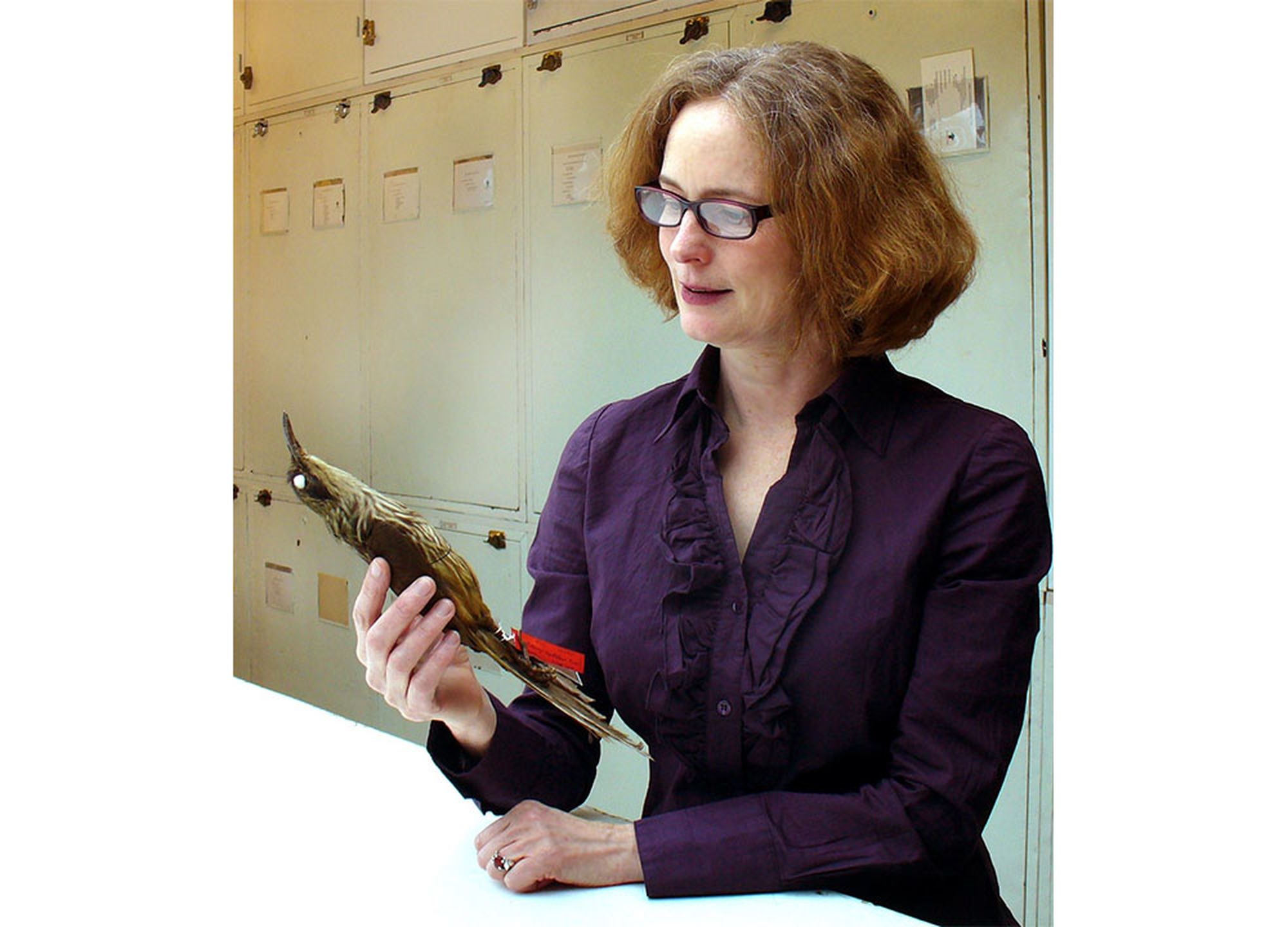 Meet One of the Curators Behind the Smithsonian’s 640,000 Birds ...
