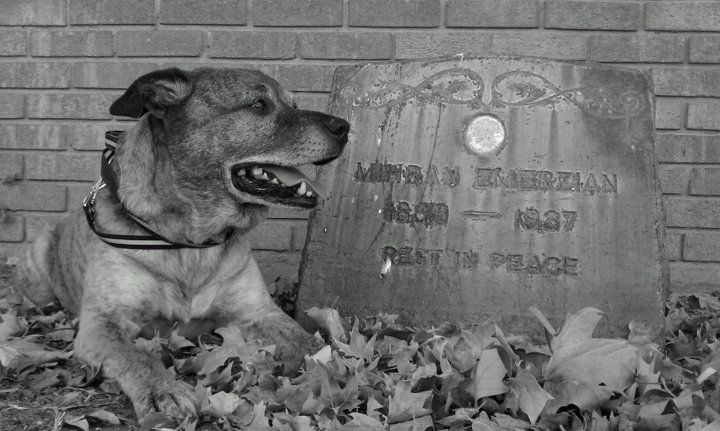 Ghosts of Wolfe Manor love Primer | Smithsonian Photo Contest ...