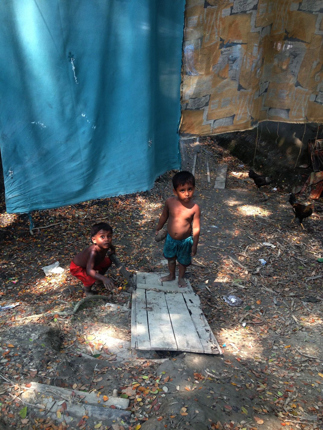 Bangladeshi rural boys at play | Smithsonian Photo Contest ...