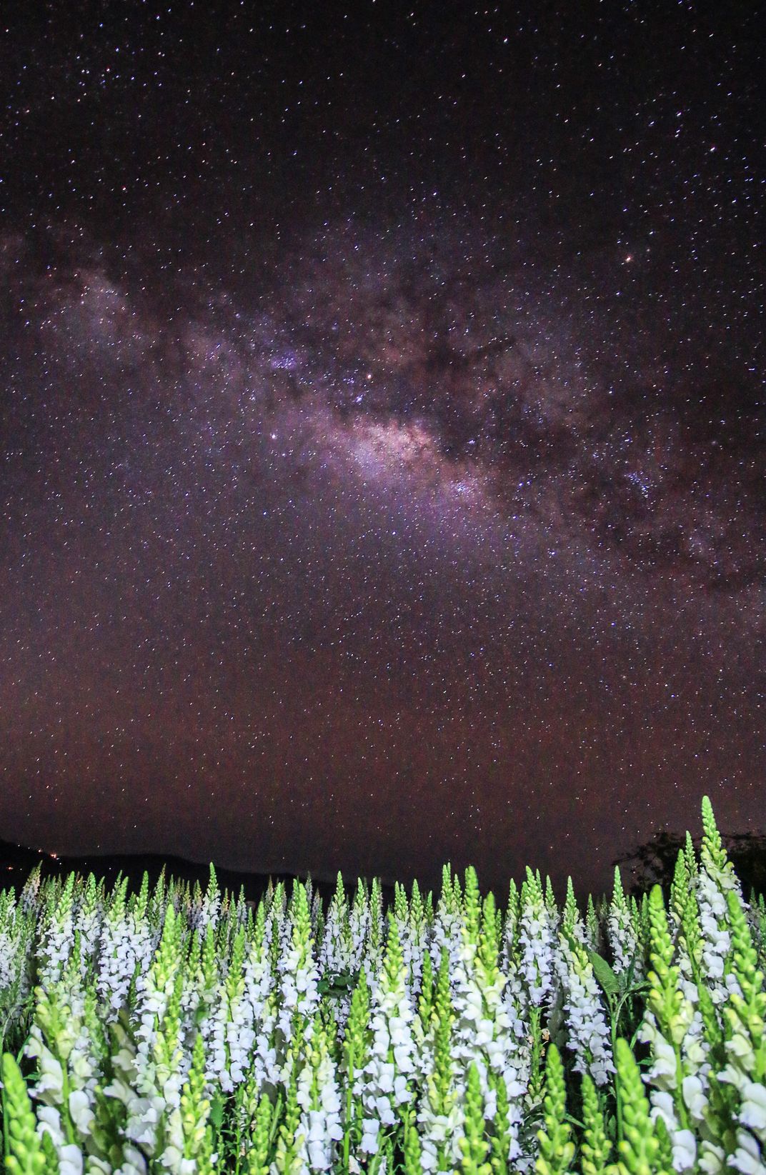 A Starry Night | Smithsonian Photo Contest | Smithsonian Magazine