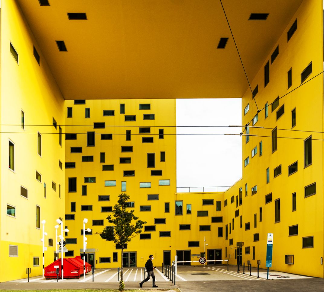 And it was all yellow | Smithsonian Photo Contest | Smithsonian Magazine
