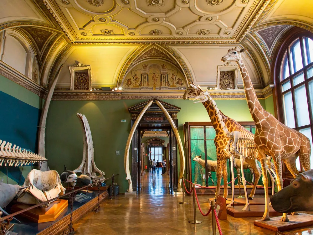 weird museums vienna