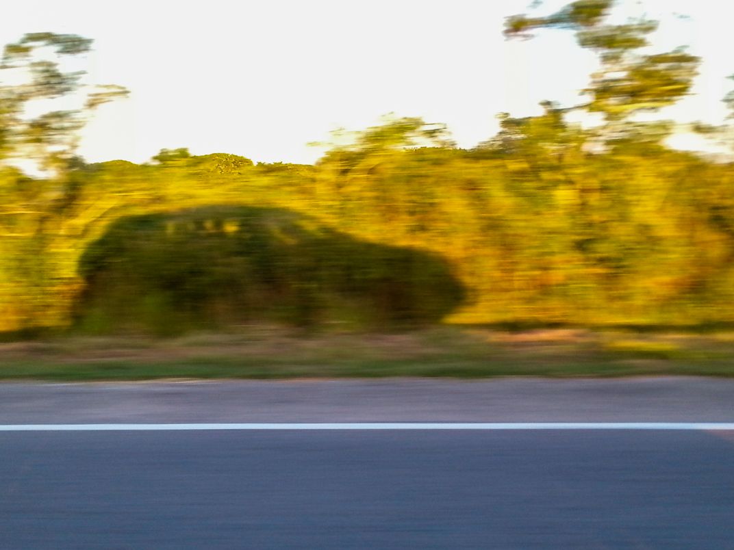 The ecologically sound car | Smithsonian Photo Contest | Smithsonian ...