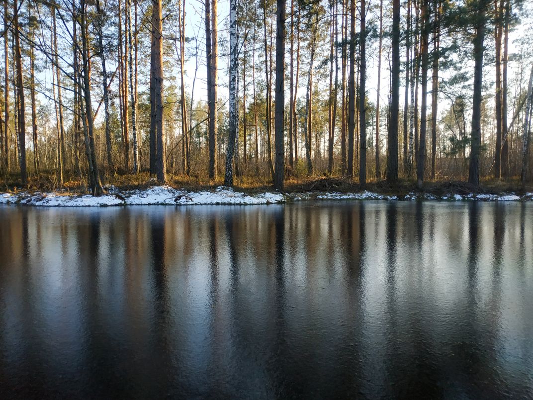 Reflection on ice | Smithsonian Photo Contest | Smithsonian Magazine