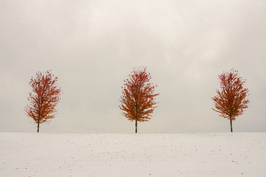 Fall meets Winter | Smithsonian Photo Contest | Smithsonian Magazine