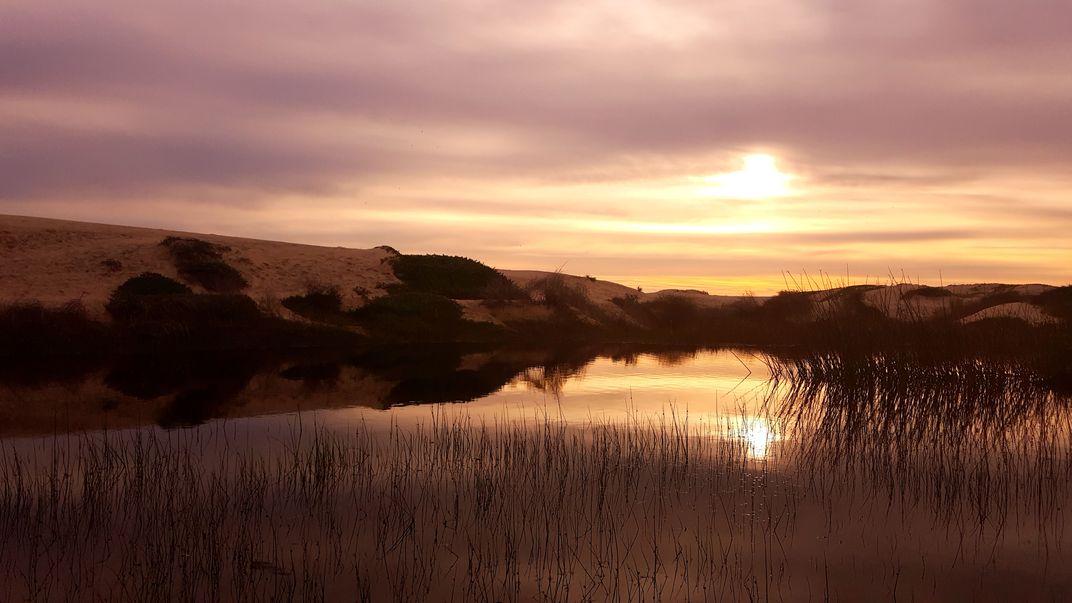 Afternoon Sun Reflections | Smithsonian Photo Contest | Smithsonian ...