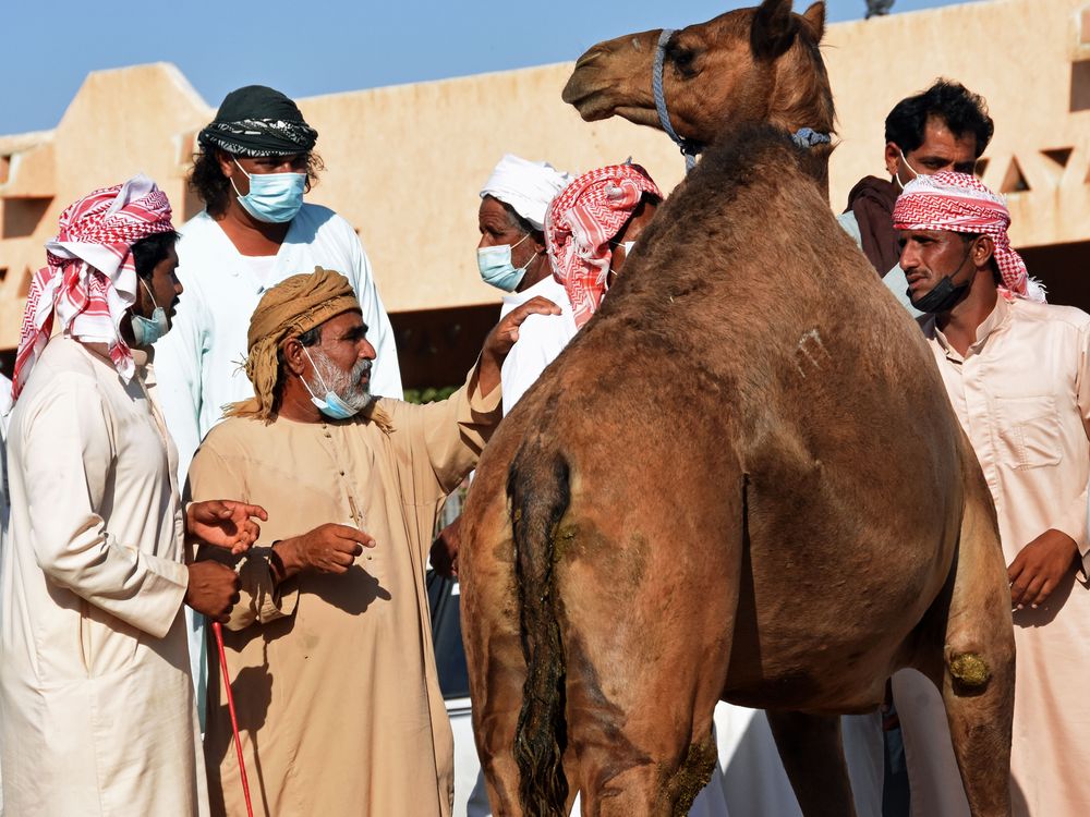 Camel Merchants | Smithsonian Photo Contest | Smithsonian Magazine