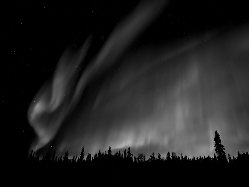 Aurora borealis over the Alaska taiga | Smithsonian Photo Contest ...