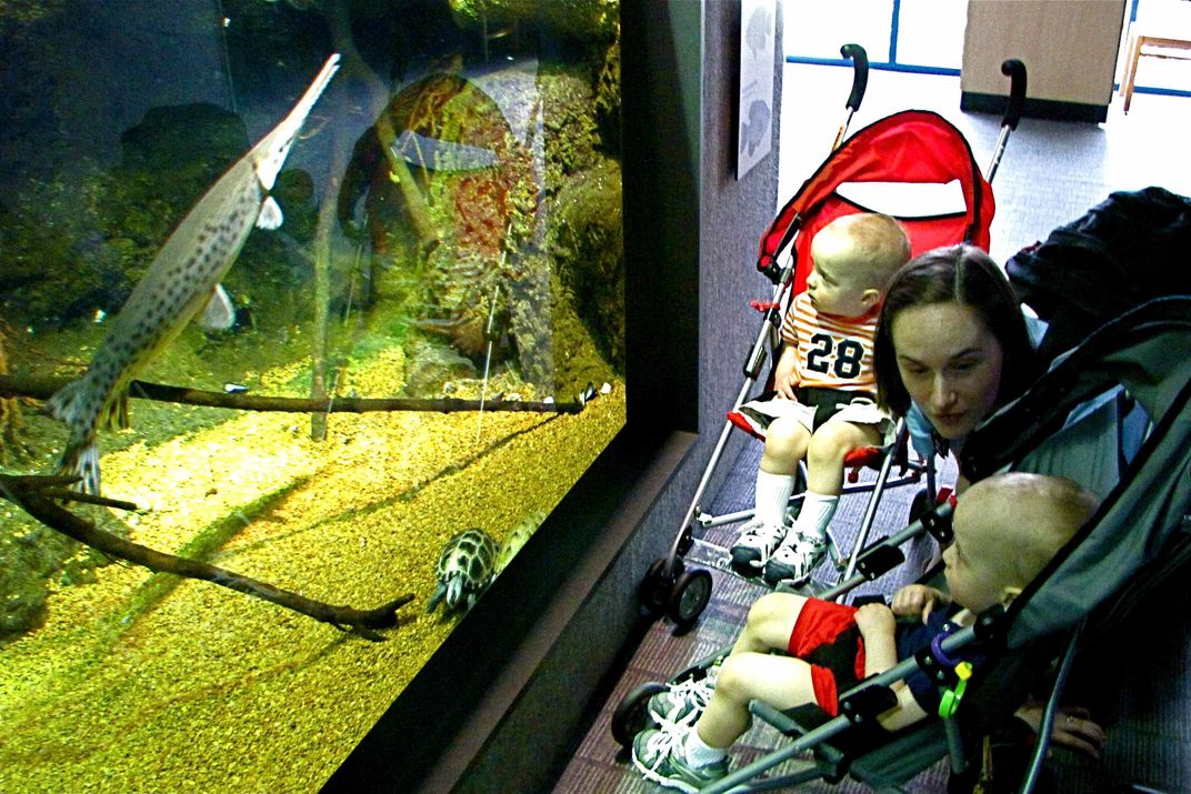 Big Fish viewed by family with twins | Smithsonian Photo Contest ...