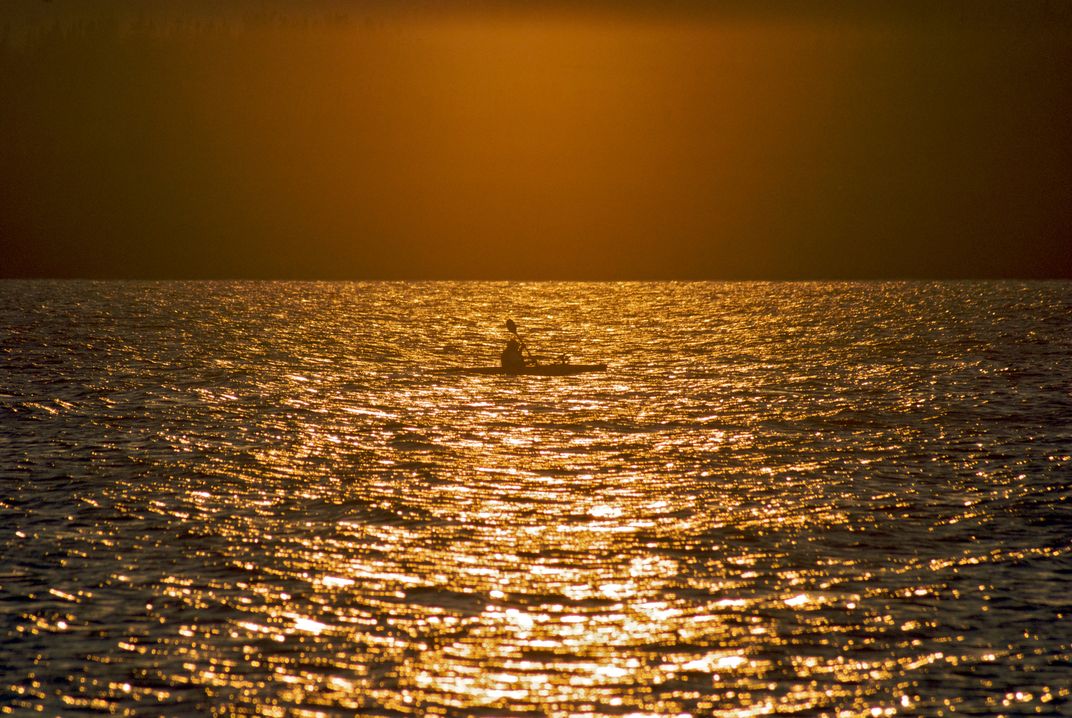 Golden Paddle | Smithsonian Photo Contest | Smithsonian Magazine