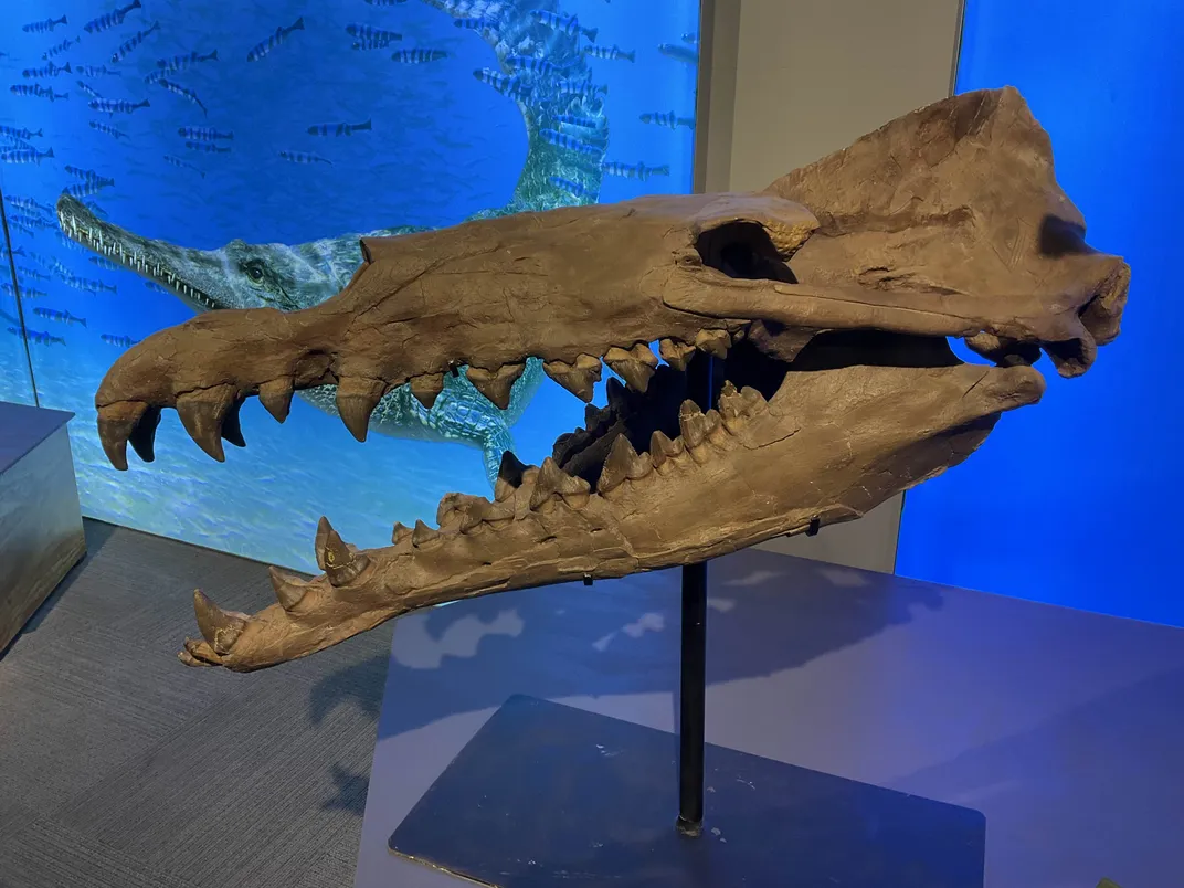 Before Whales Took to the Sea, These Ten Species Walked on Land