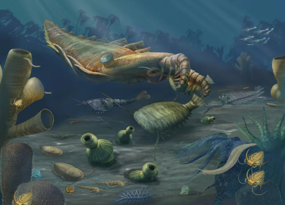 fossils animation