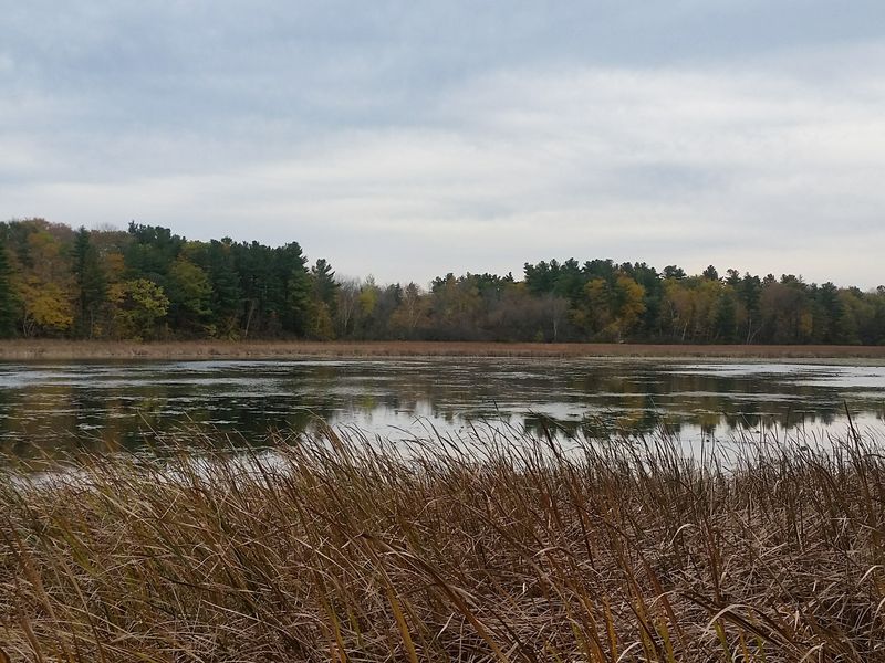 The Marsh | Smithsonian Photo Contest | Smithsonian Magazine