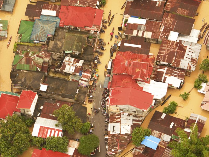 Flood in Candaba | Smithsonian Photo Contest | Smithsonian Magazine