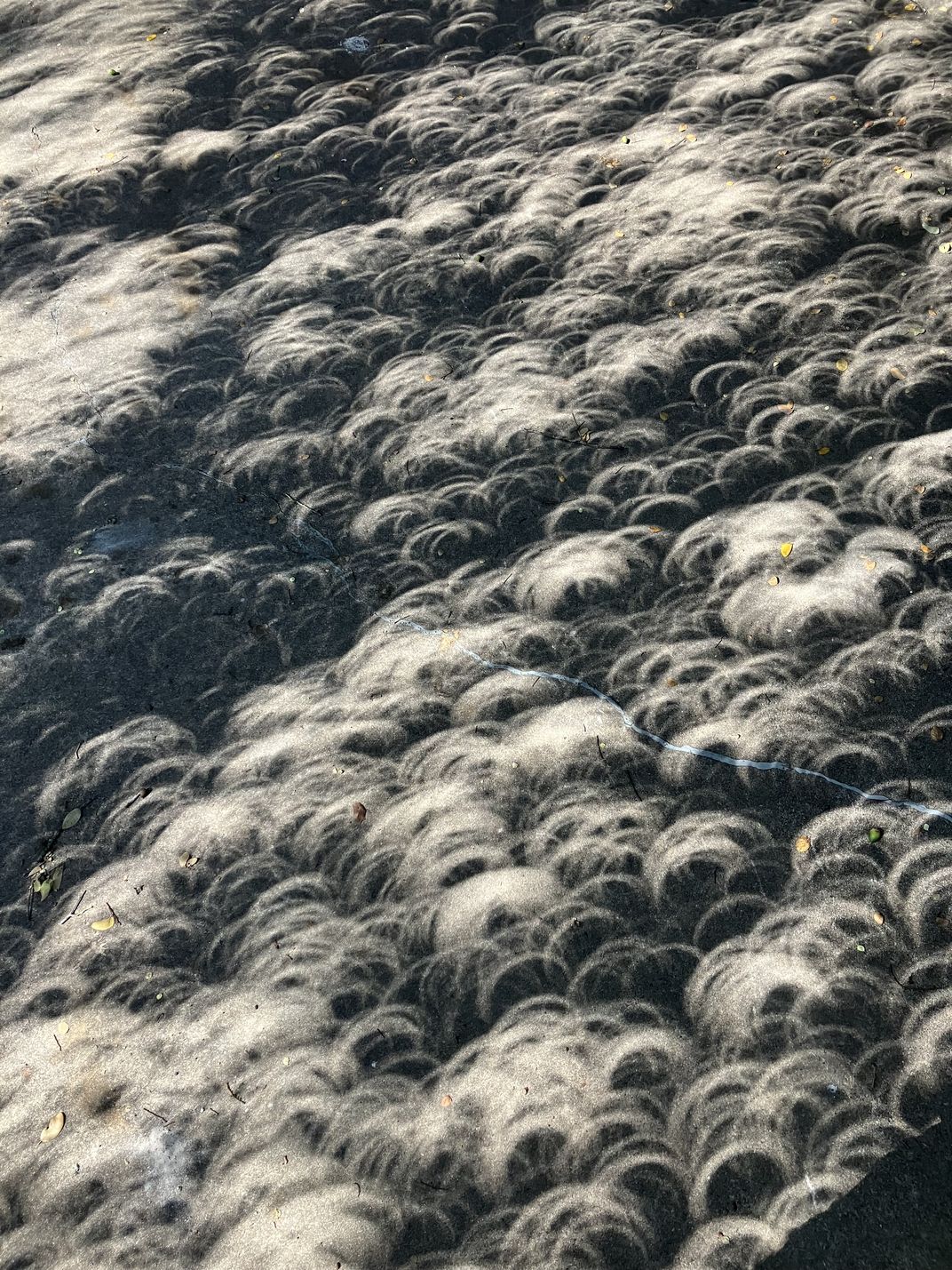 Eclipse shadows | Smithsonian Photo Contest | Smithsonian Magazine