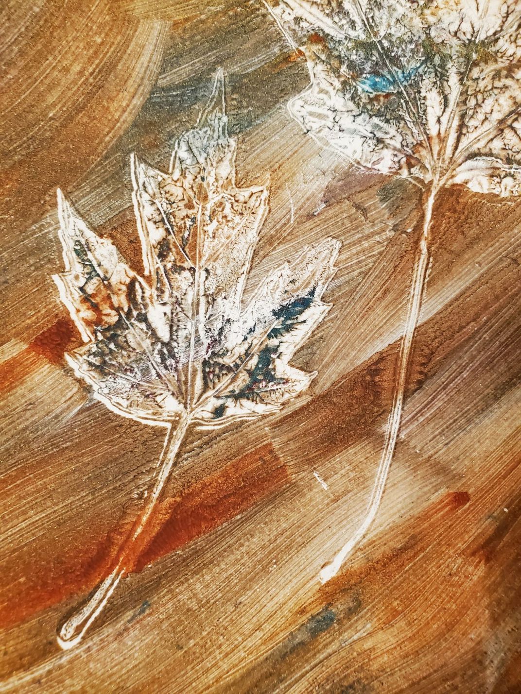 Autumn Leaves 2022 | Smithsonian Photo Contest | Smithsonian Magazine