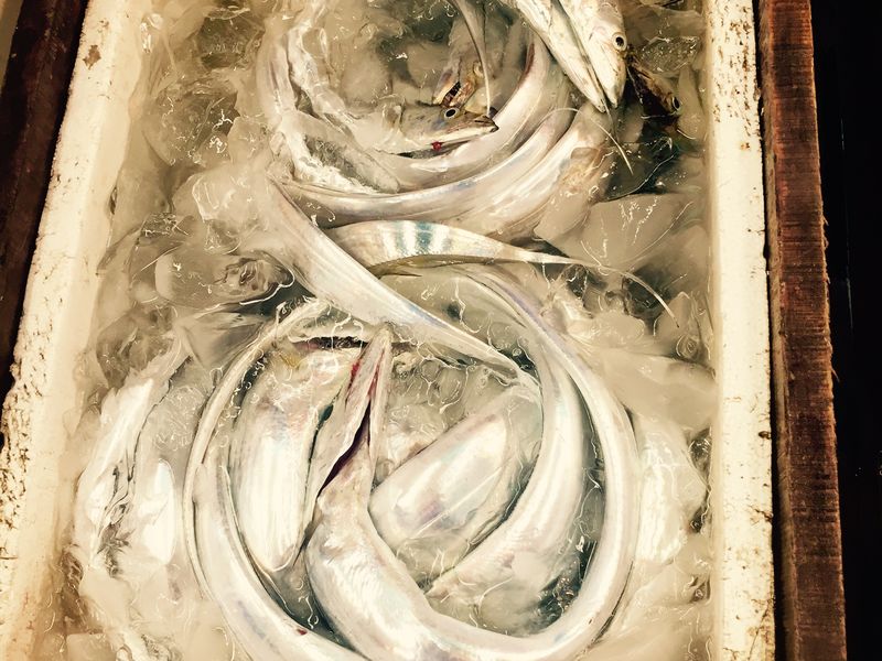 Butuan fish market, Box of Diwit | Smithsonian Photo Contest ...