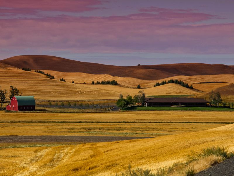 Palouse Harvest | Smithsonian Photo Contest | Smithsonian Magazine