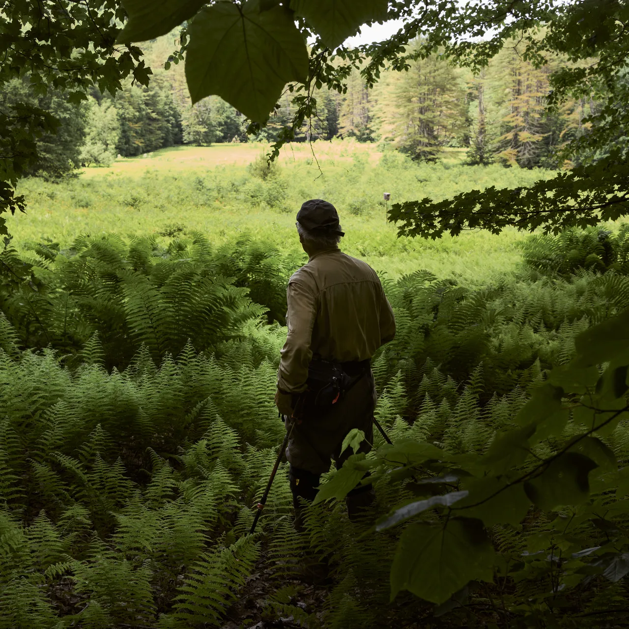 walking gingerly origin