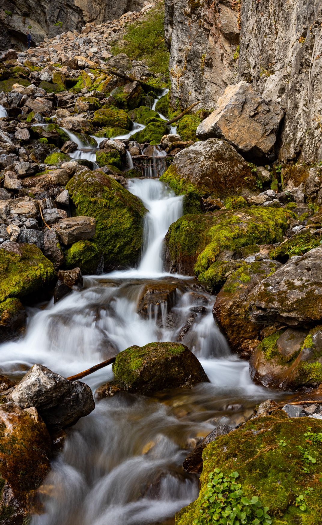 Worlds largest intermittent spring. | Smithsonian Photo Contest ...