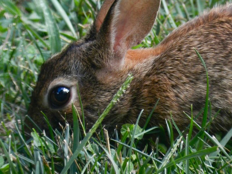 The sound of silance | Smithsonian Photo Contest | Smithsonian Magazine