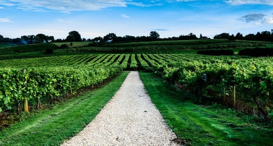 More Wines from Unexpected Places