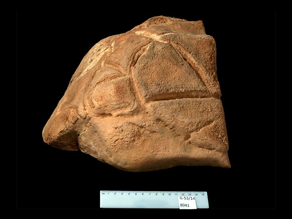 A Mysterious Boulder Carved to Look Like a Tortoise Shell May Offer ...