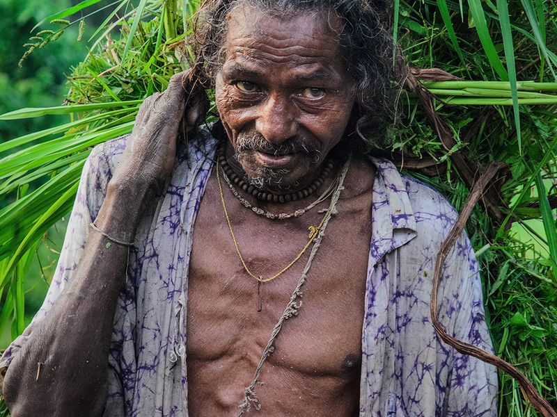 Caption : Man in the jungle Camera : Nikon D7000, F/6.3, 1/80 sec ...